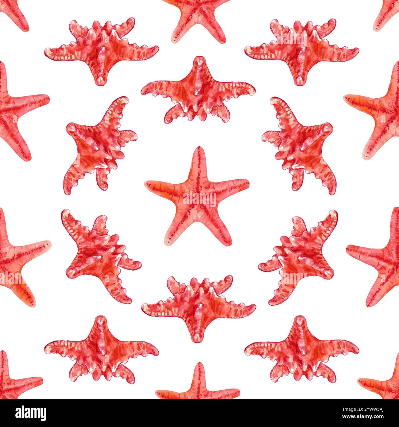 Pattern of starfish in a circle creatures underwater world in ...