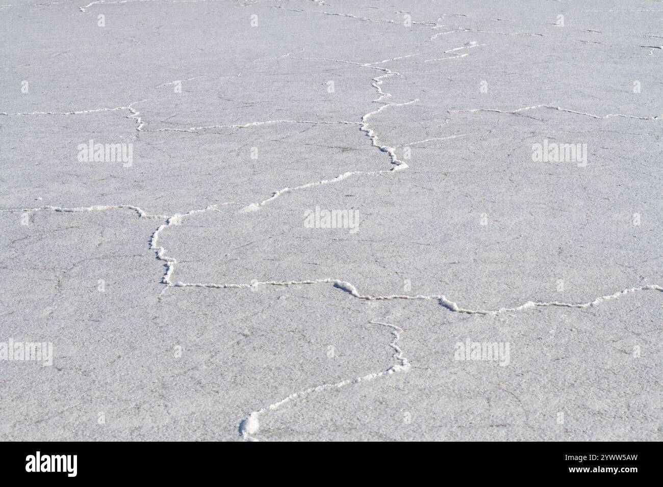 The salt surface of the dried-up area of the salt lake Elton. Volgograd ...