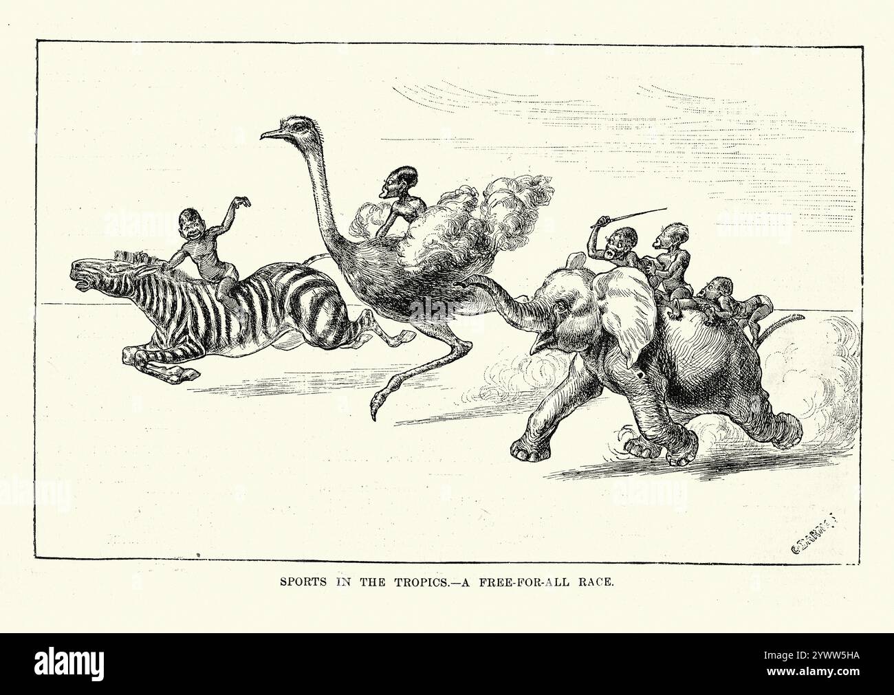 Vintage Cartoon, Sports in the tropics, a free for all race, Victorian ...