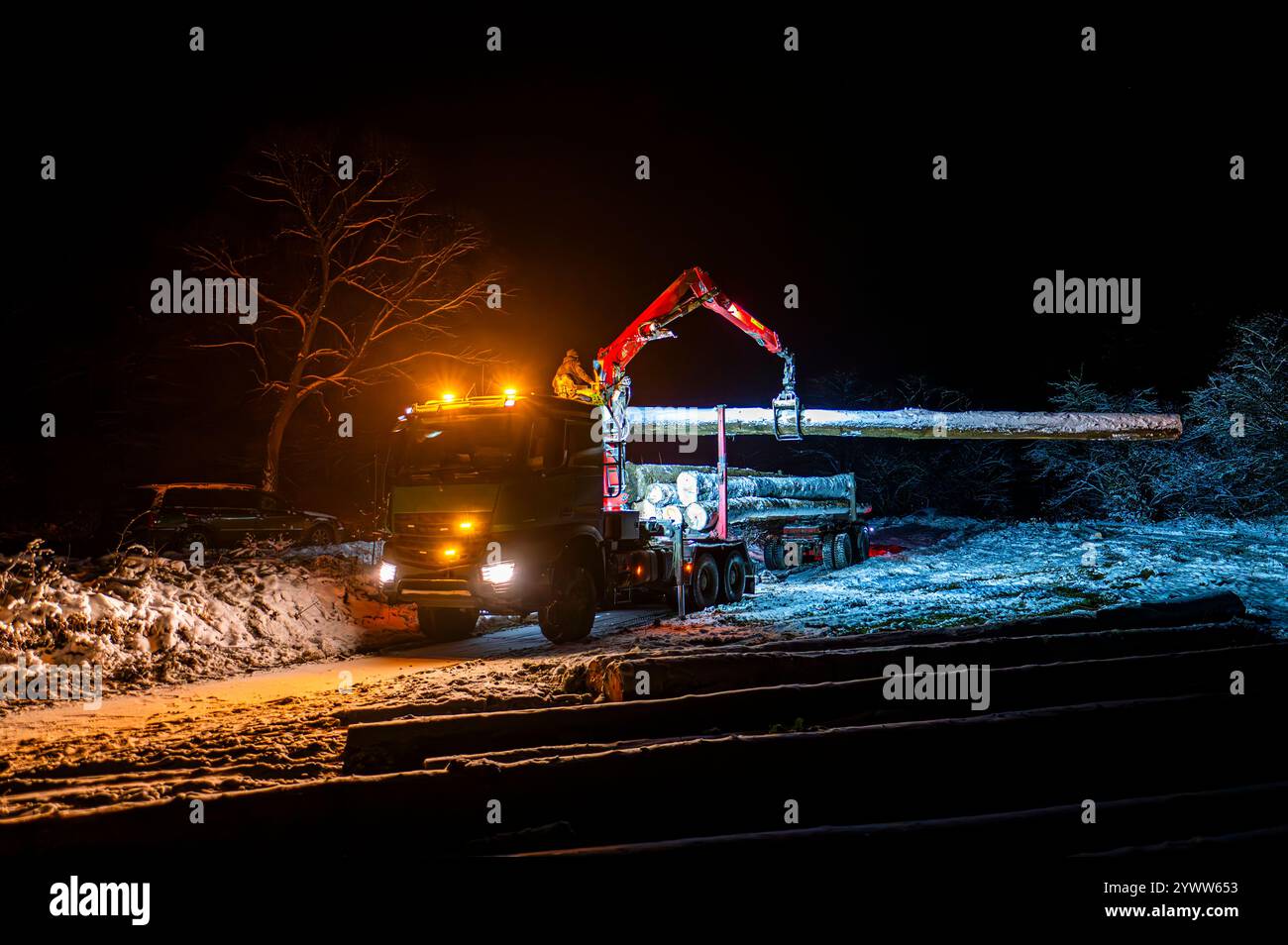 Loading wood onto a truck in the forest Stock Photo - Alamy
