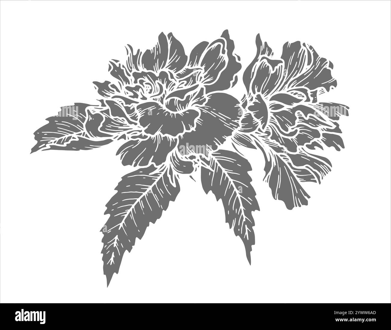 Silhouette botanical vector illustration of flower with leaves. Hand ...
