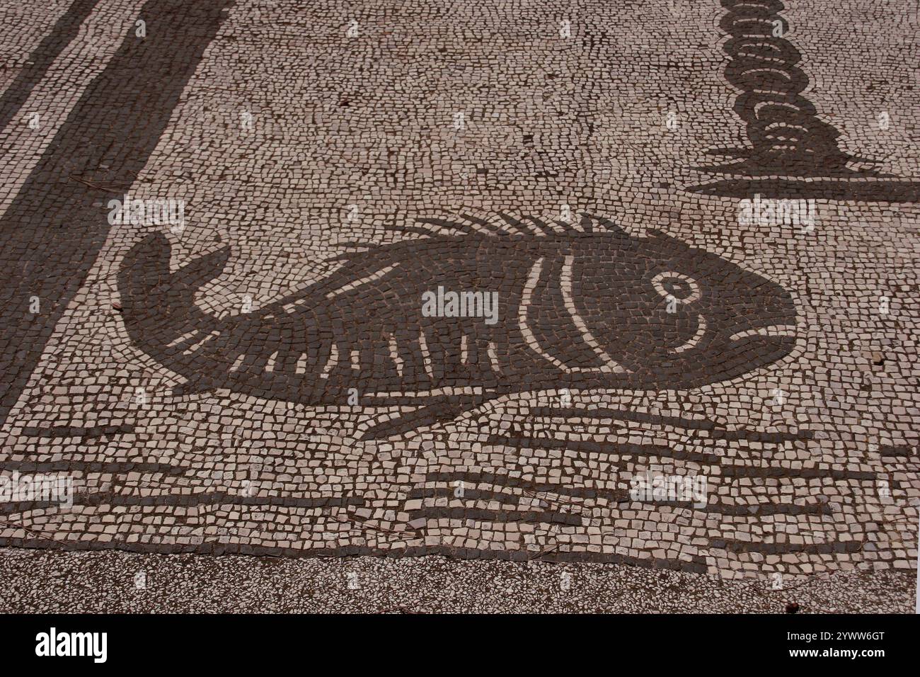 Roman mosaic fish hi-res stock photography and images - Alamy