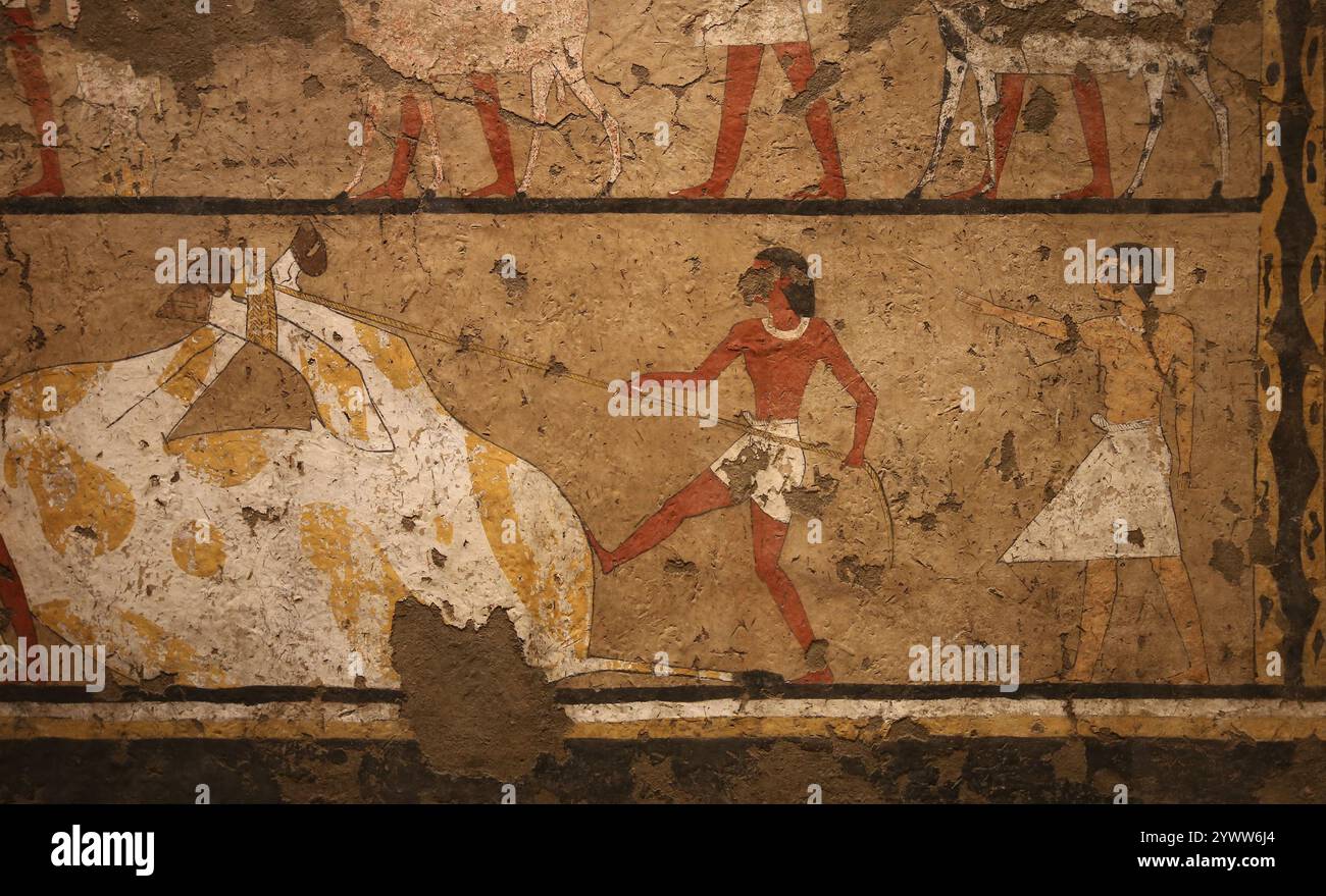 Ancient egypt rope hi-res stock photography and images - Alamy