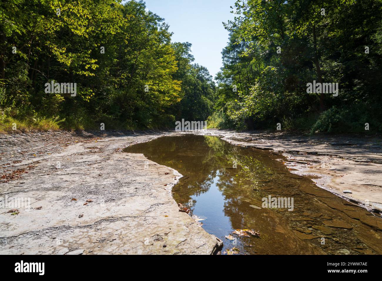 Hiking in Wintergreen Gorge, Harborcreek Township, Erie County in the U ...