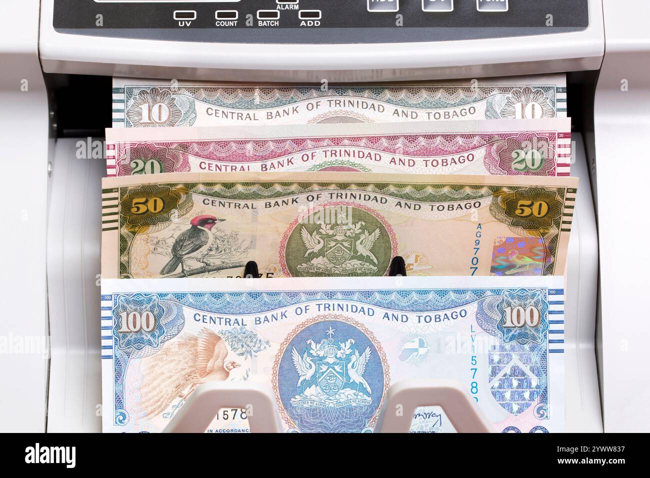 Trinidad and Tobago money - dollar in the counting machine Stock Photo ...