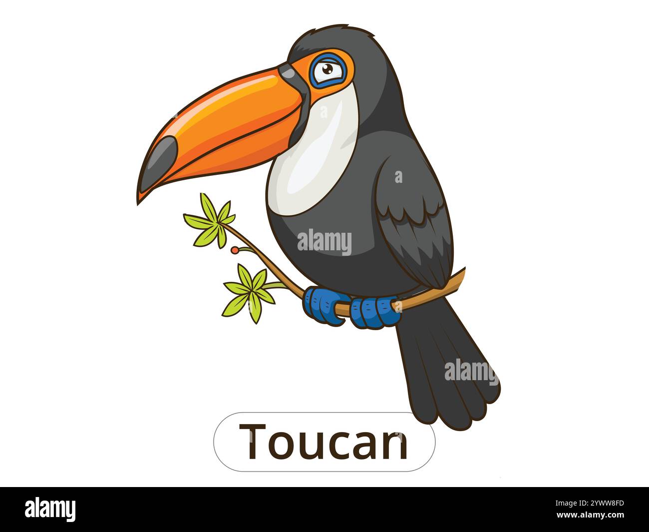 Toucan bird cartoon vector illustration Stock Vector Image & Art - Alamy