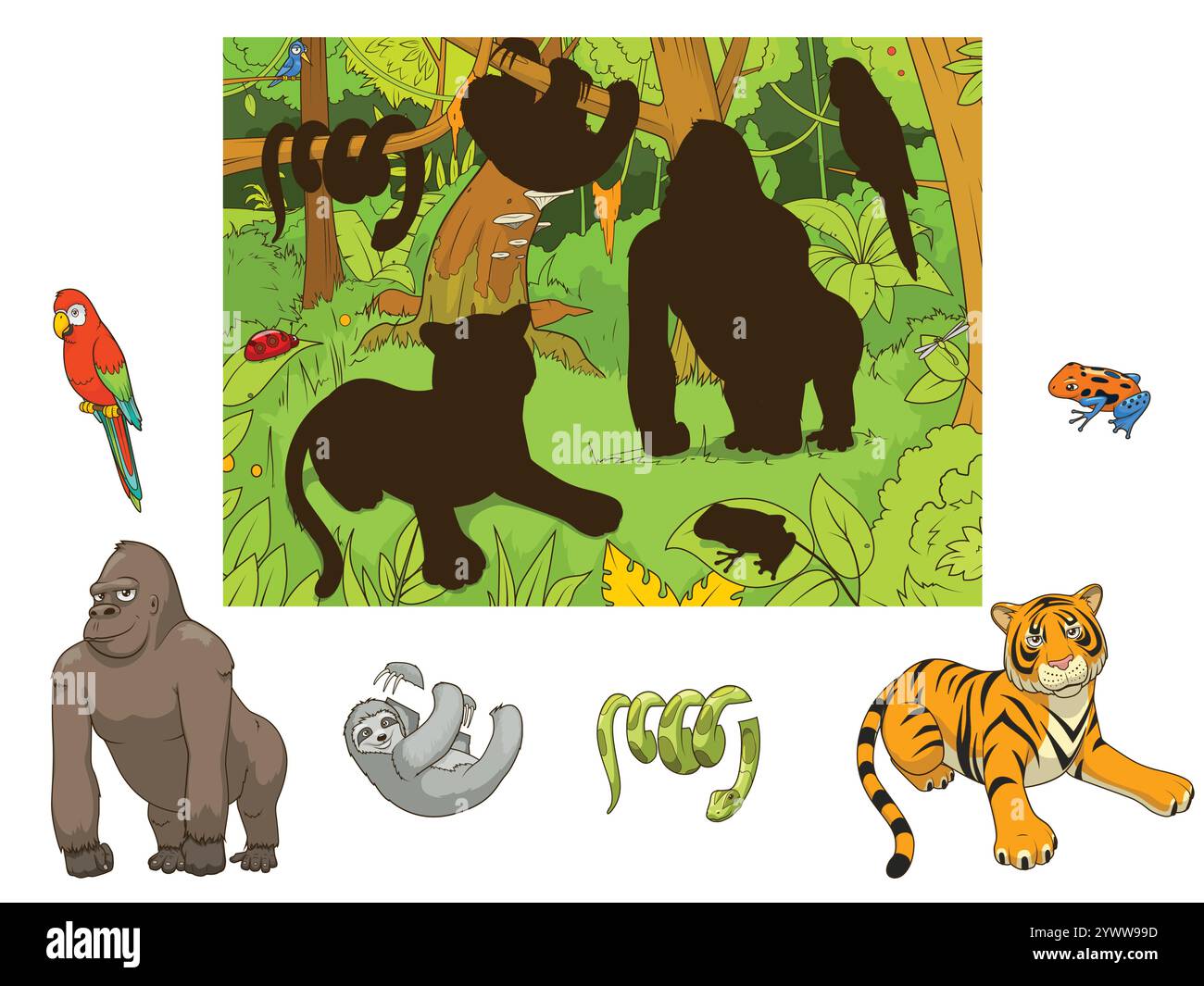 Educational snake art hi-res stock photography and images - Alamy