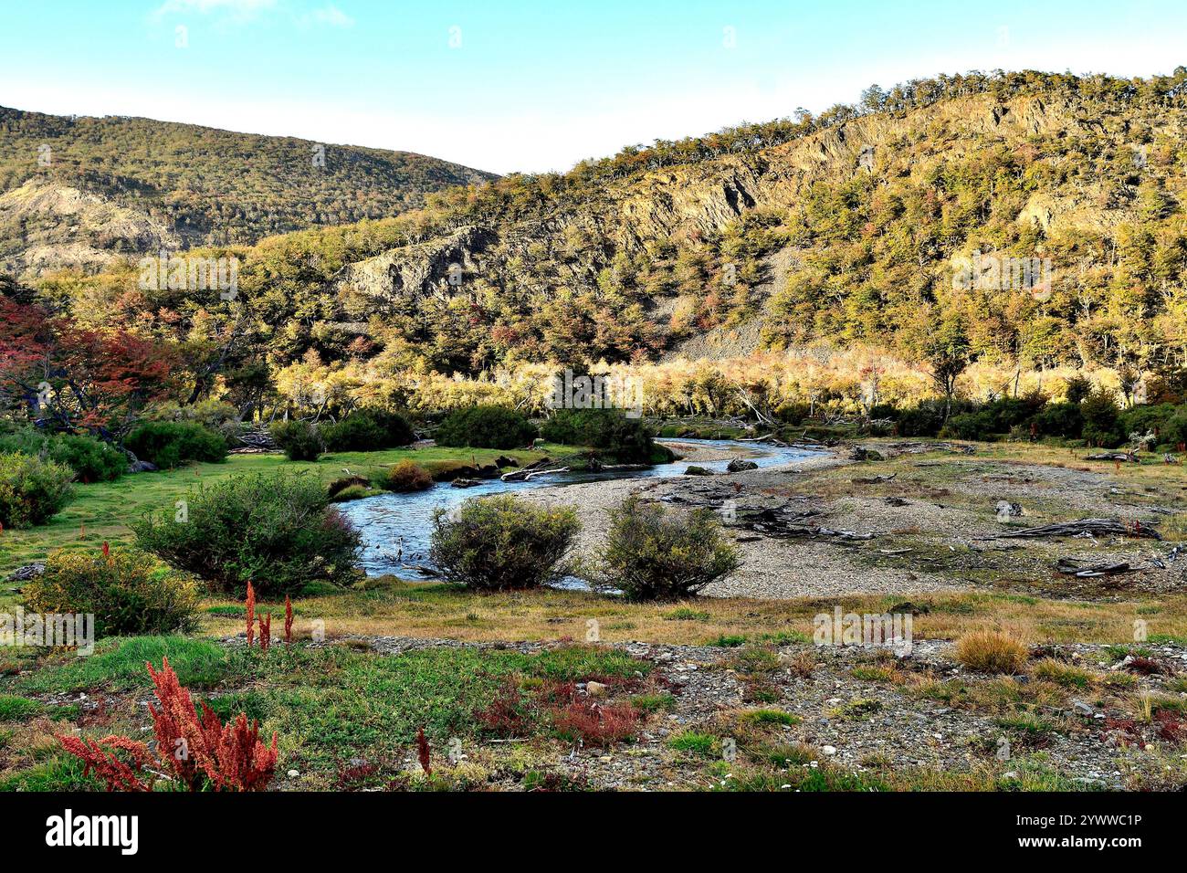 Nationalpark Tierre del Fuego, Fluss Rio Pipo, Provinz Feuerland ...