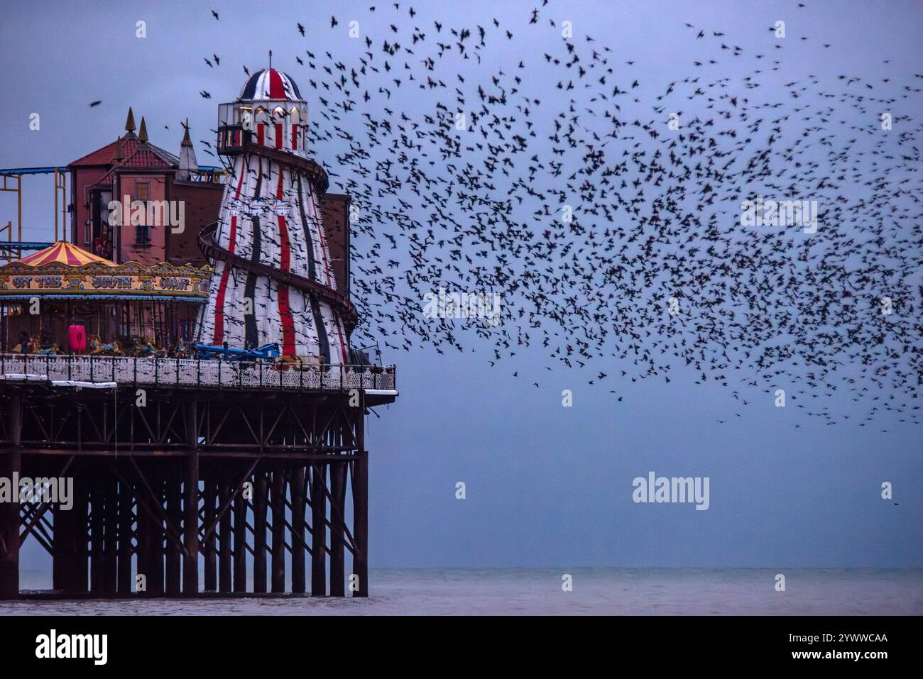 Brighton, December 10th 2024: Starlings murmurating at the Palace Pier ...