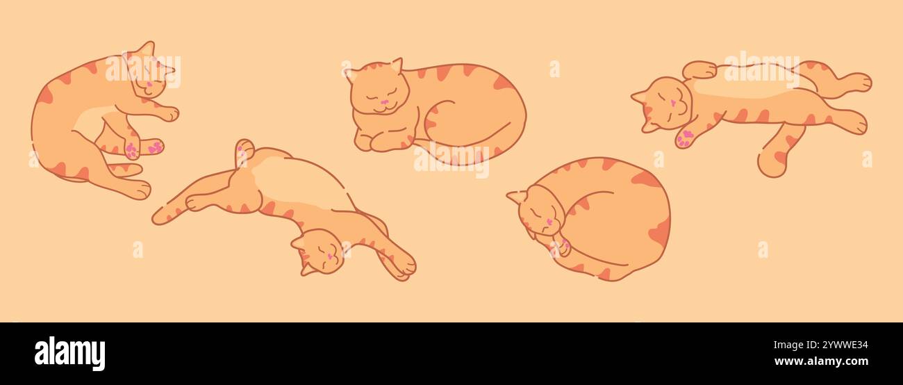 Cute lazy ginger cat in different positions. Cute sleeping red tabby cat icons. Vector ...