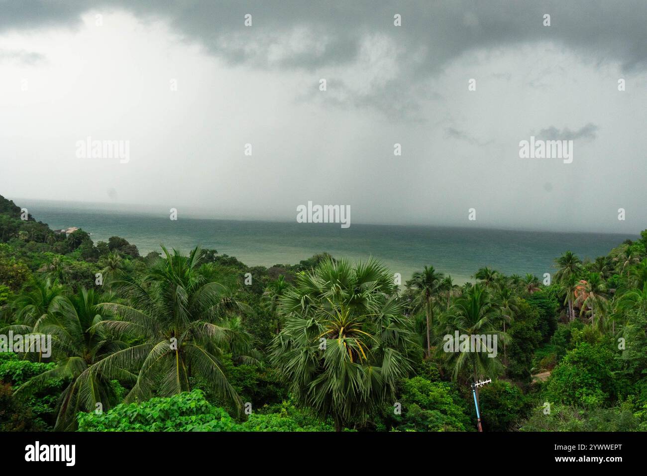 Expansive tropical foliage meets the ocean, hinting at a rainy horizon ...