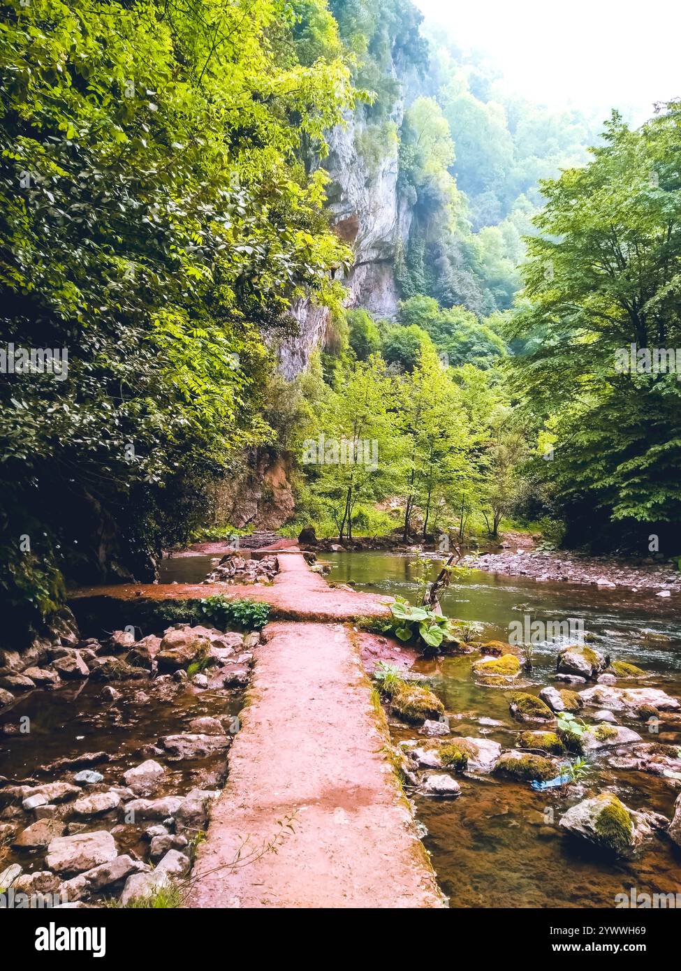 Discover the serene beauty of Maden Deresi, Sakarya, featuring a ...