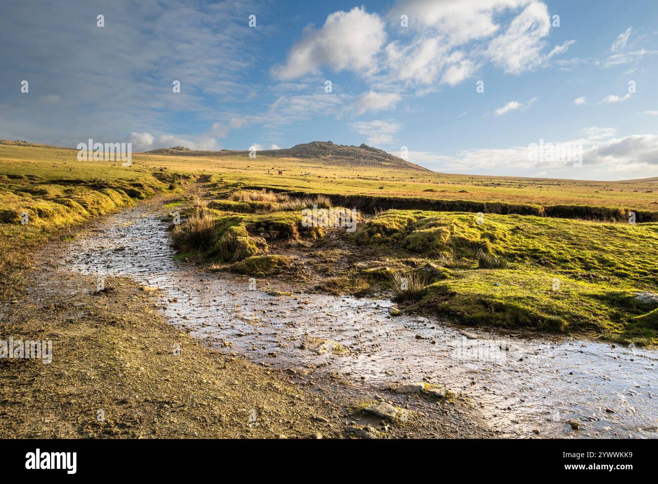 The worn eroded track lead ing up to Roughtor Rough Tor on the wild ...