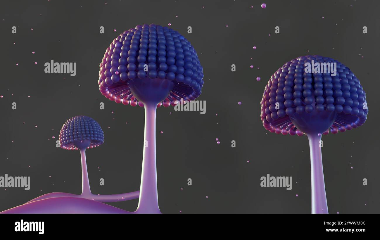 3d rendering of Aspergillus genus. Aspergillosis is a spectrum of ...