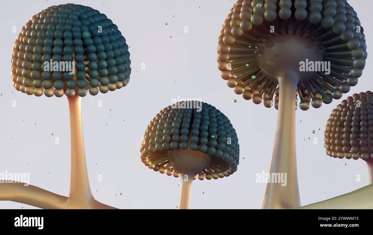 3d rendering of Aspergillus genus. Aspergillosis is a spectrum of ...