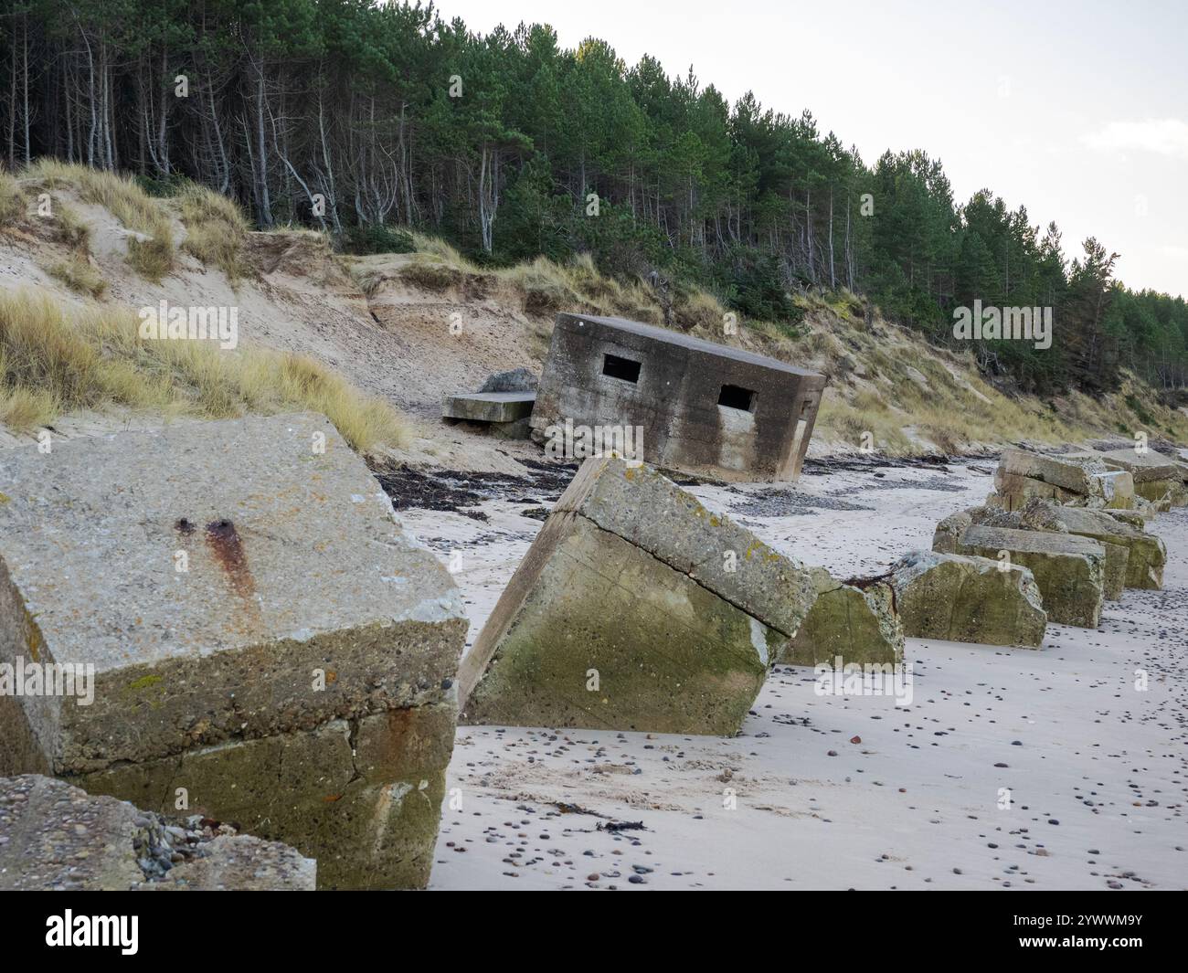2nd World war defences on the beach near Burghead, moray, Scotland, UK ...