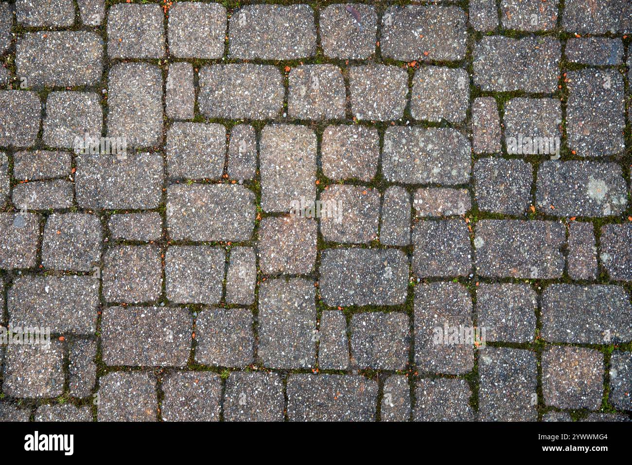 Paving stone texture pavement hi-res stock photography and images - Alamy