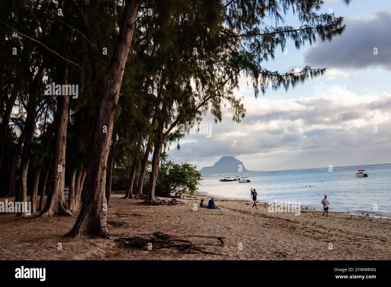 Salt and water with some flavoursome curry and sauces hi-res stock ...