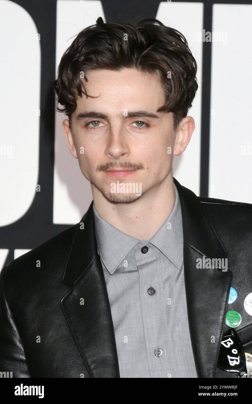 Ca. 10th Dec, 2024. Timothee Chalamet at arrivals for A COMPLETE ...
