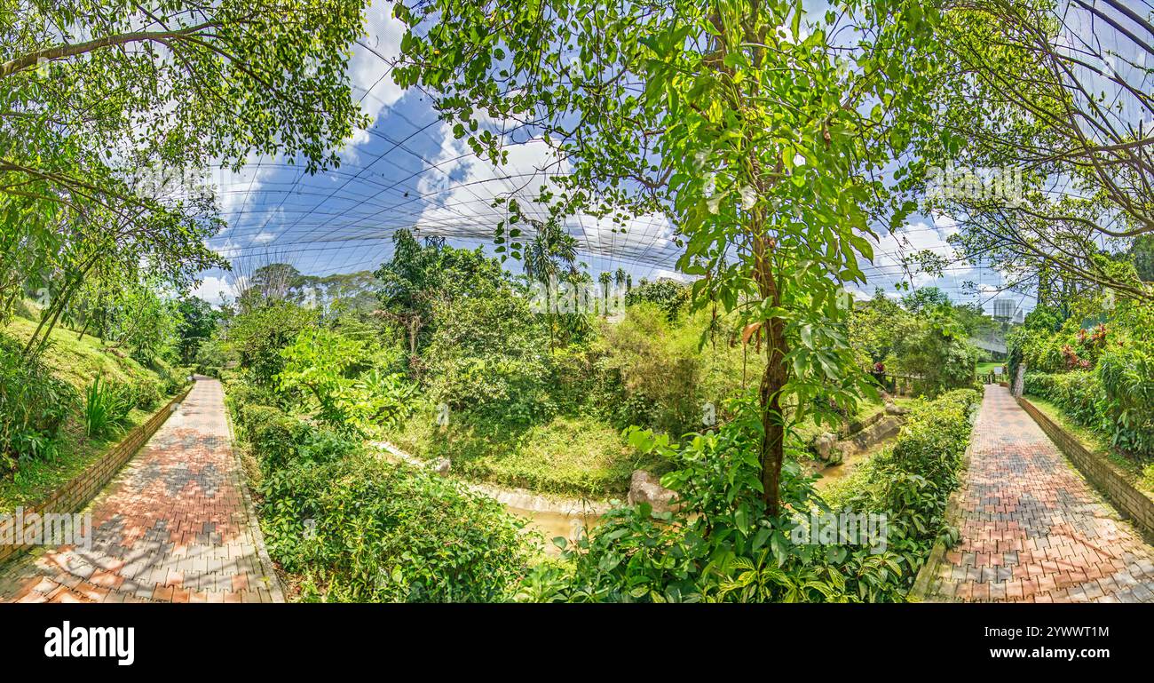 Greenery landscaping urban canopy hi-res stock photography and images ...