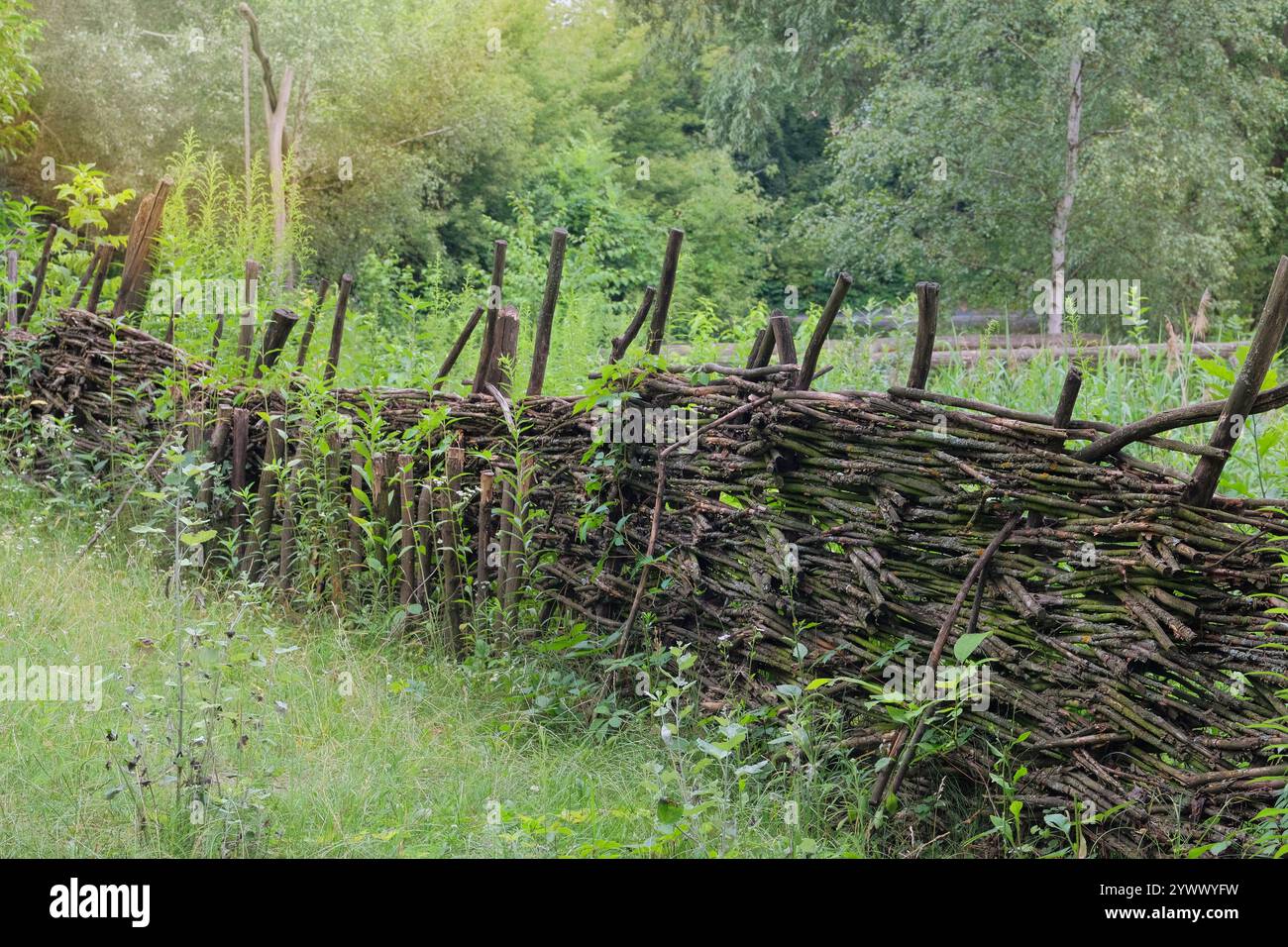 Traditional wooden farmhouse. Aged wooden fence in countryside. Village ...