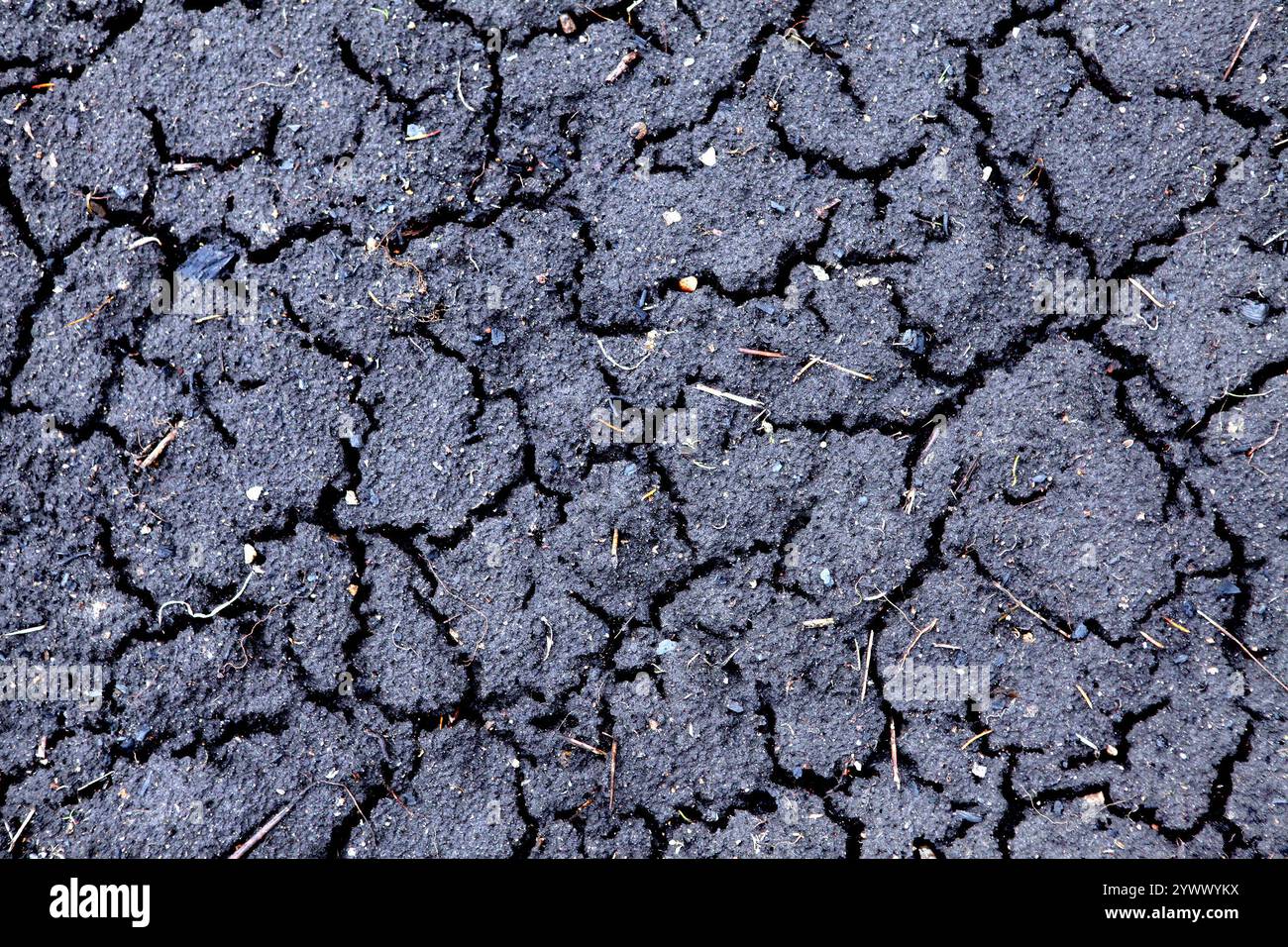 Texture of the Cracked Ground Closeup Stock Photo - Alamy