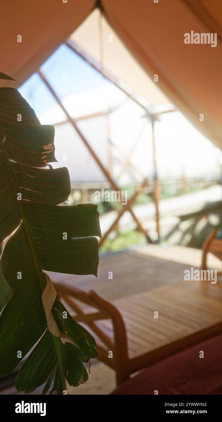 Relaxing view inside an african camping tent with wooden furniture ...