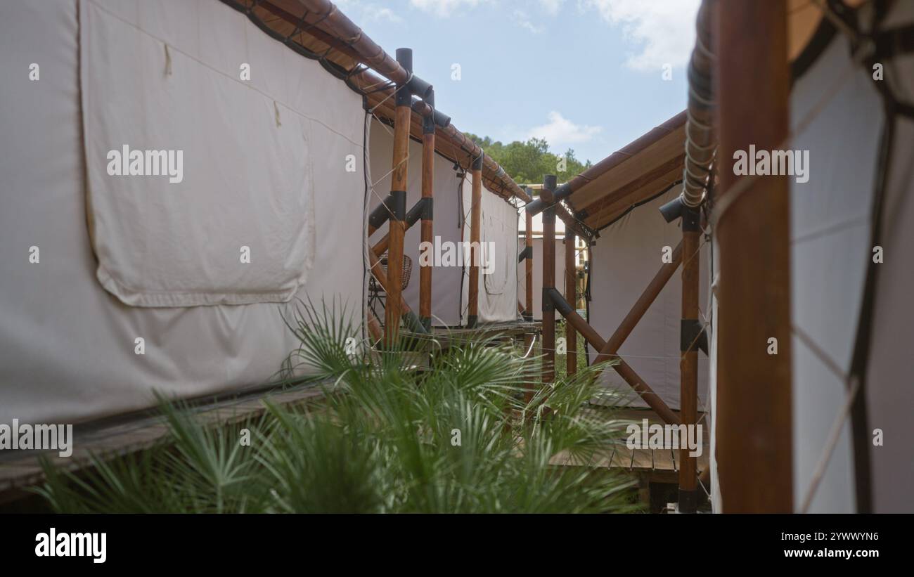 Rustic camping setups with white tents and lush greenery in an african ...