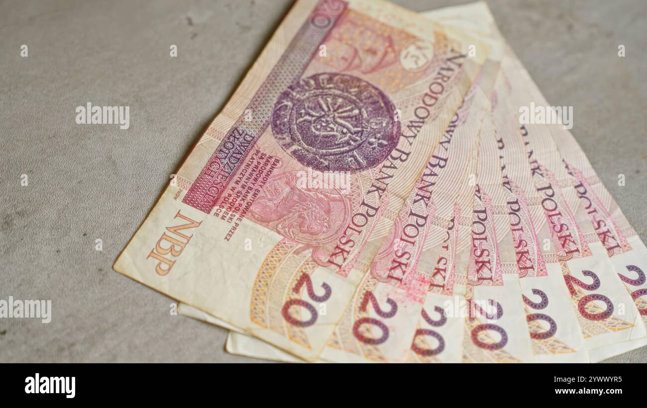 Polish banknotes spread on a concrete surface, featuring the narodowy ...