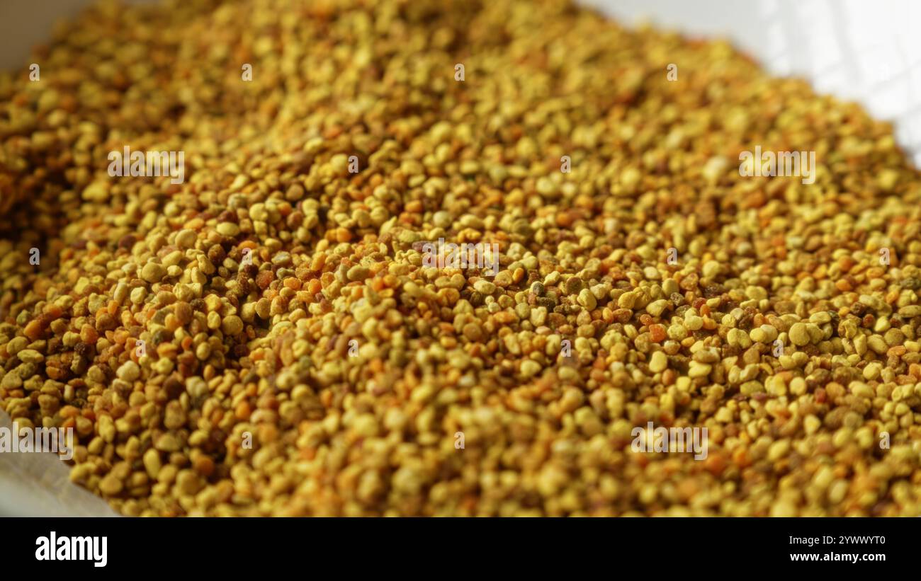 Close-up view of colorful granules of bee pollen showcasing the rich ...
