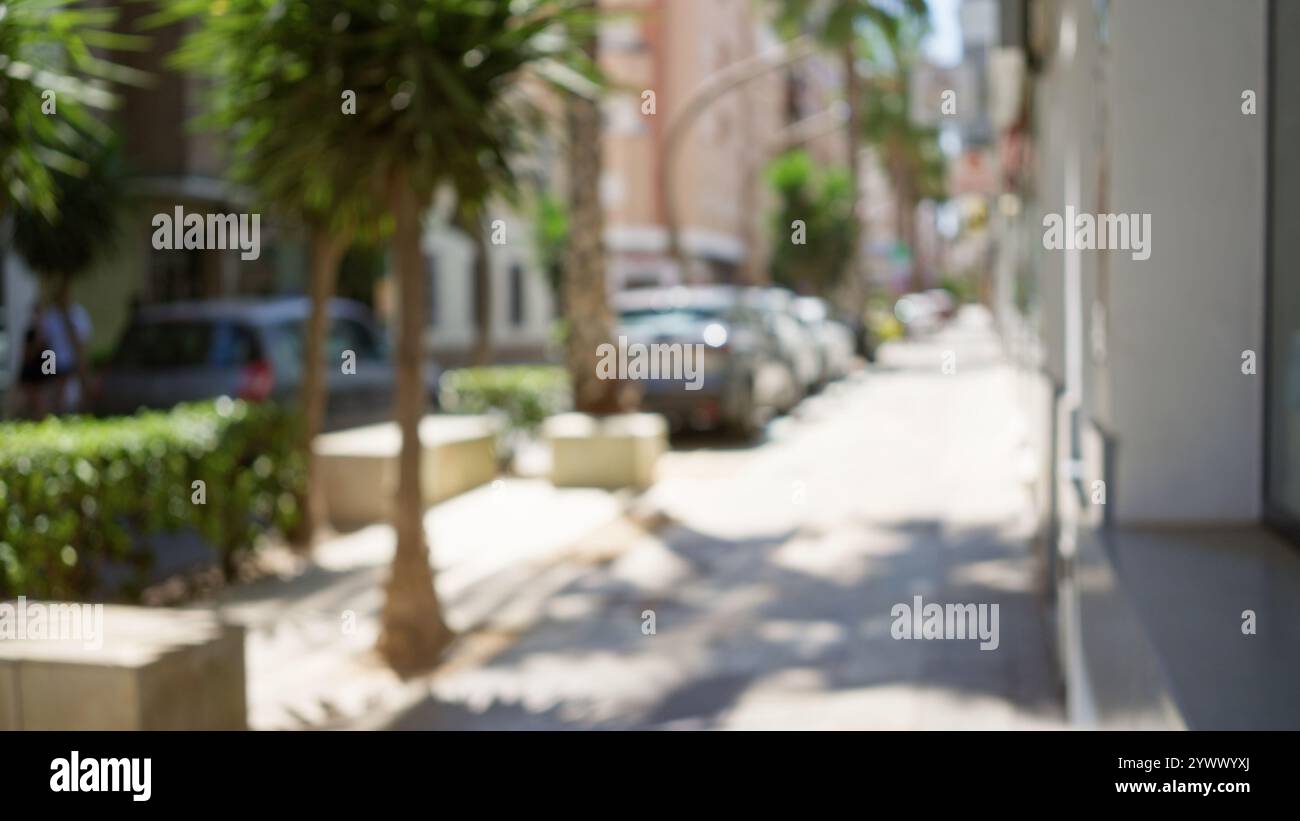 Out of focus outdoor street scene with blurred cars, trees, and ...