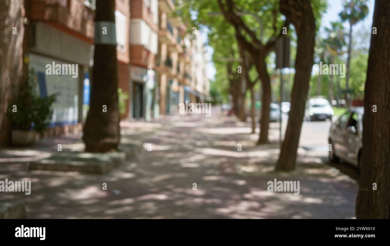 Trees lining a blurred outdoor streetscape with defocused background ...