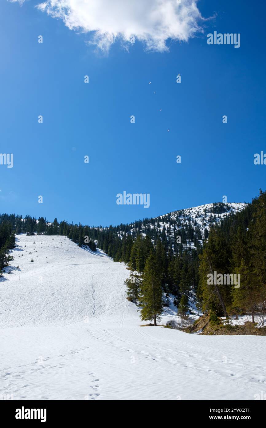 A serene winter landscape in Garmisch-Partenkirchen, Bavaria showcases ...