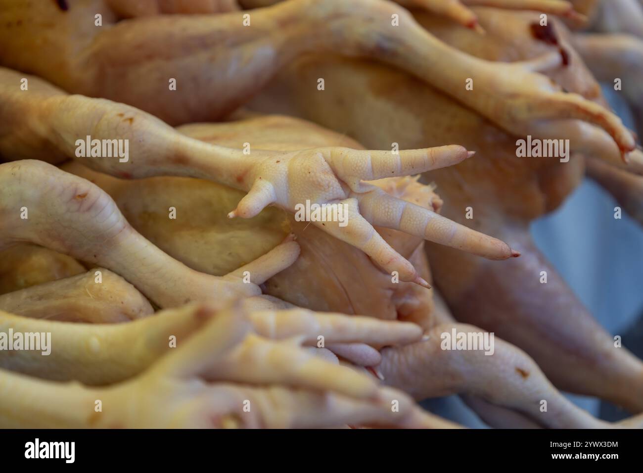 Chicken feet at the market. Human food of animal origin. Not suitable ...