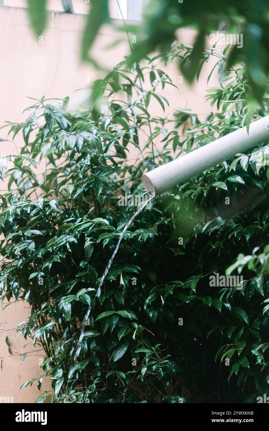 Rainwater flowing down through a PVC pipe, showcasing a simple yet ...