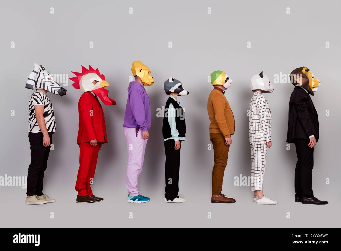 Full body profile portrait of zebra gorilla raccoon lion panda sloth ...