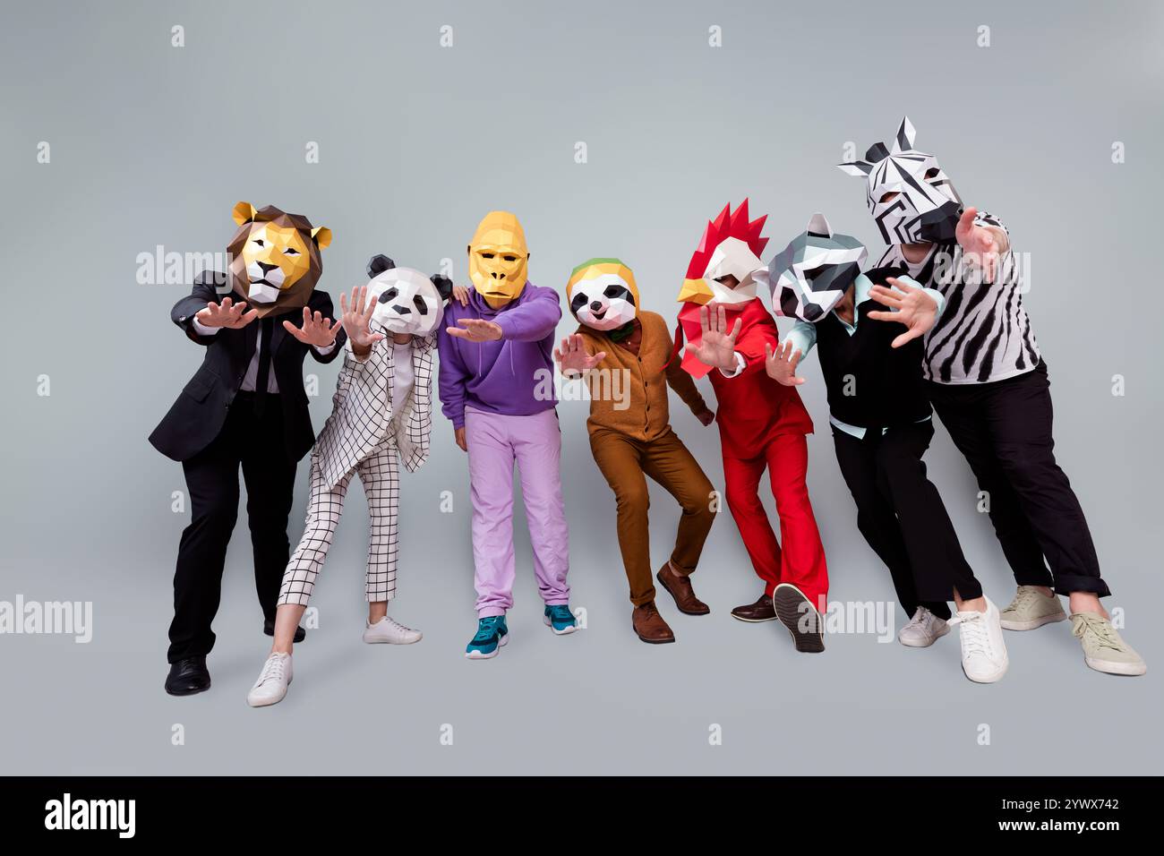 Full body portrait of zebra gorilla raccoon lion panda sloth rooster ...