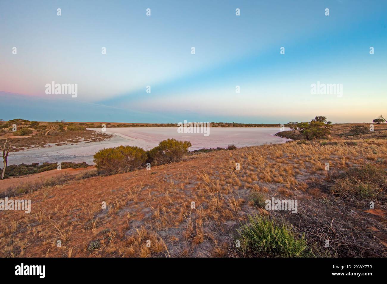 Breathtaking view of Pink Lake in Australia during sunset, surrounded ...