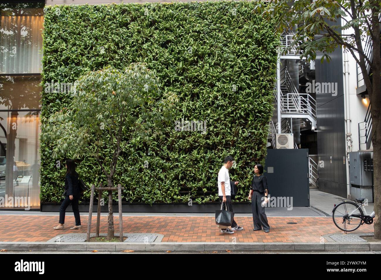 Couple standing on footpath in front of wall covered with green ...