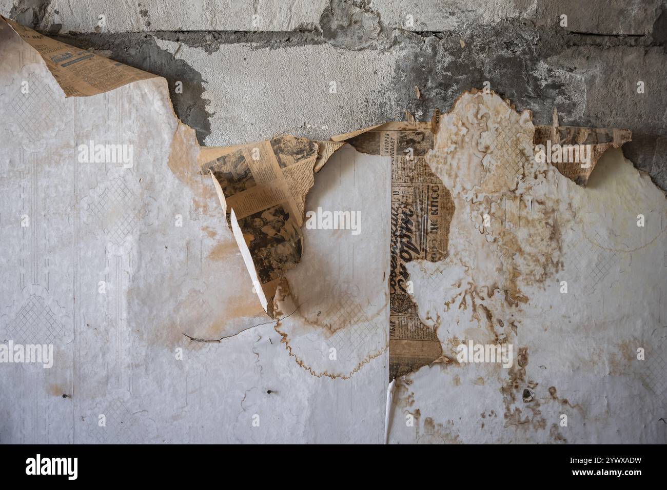 Peeling wallpaper, abandoned destroyed room in a residential building ...
