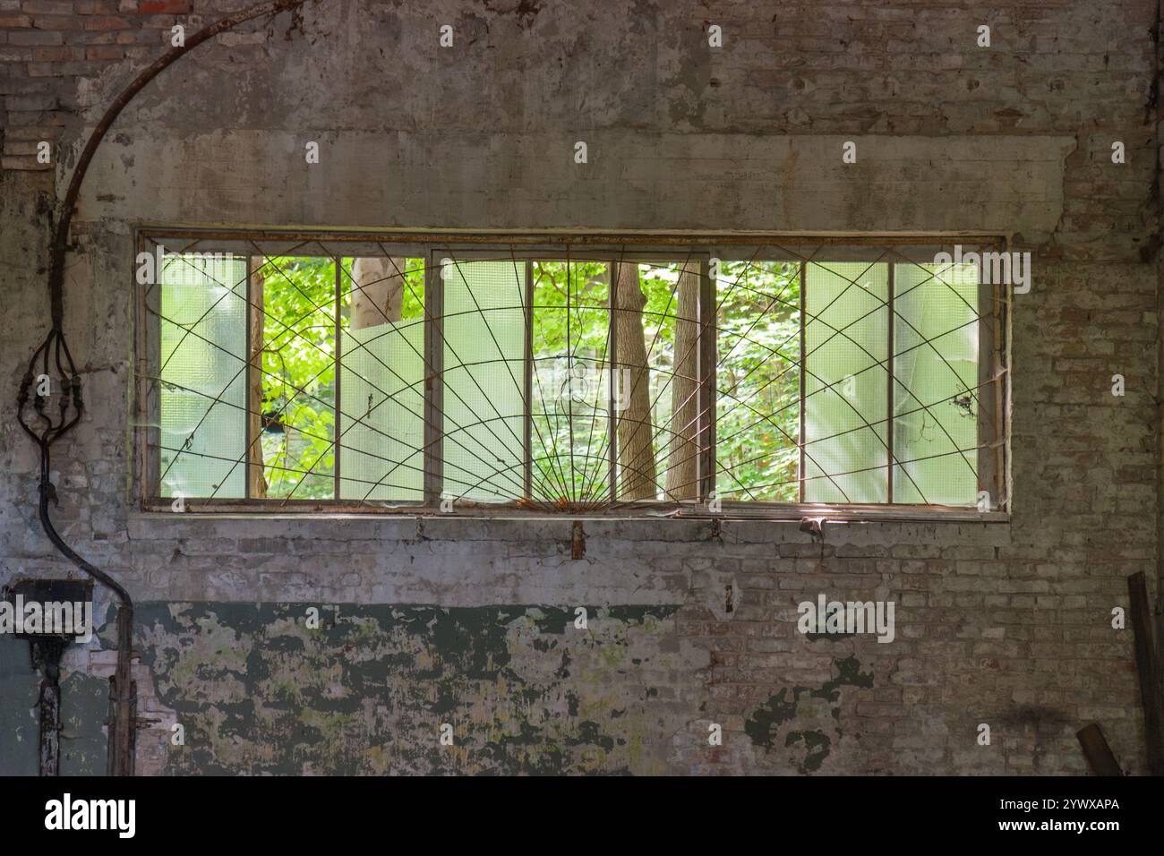 Brick room with view forest hi-res stock photography and images - Alamy