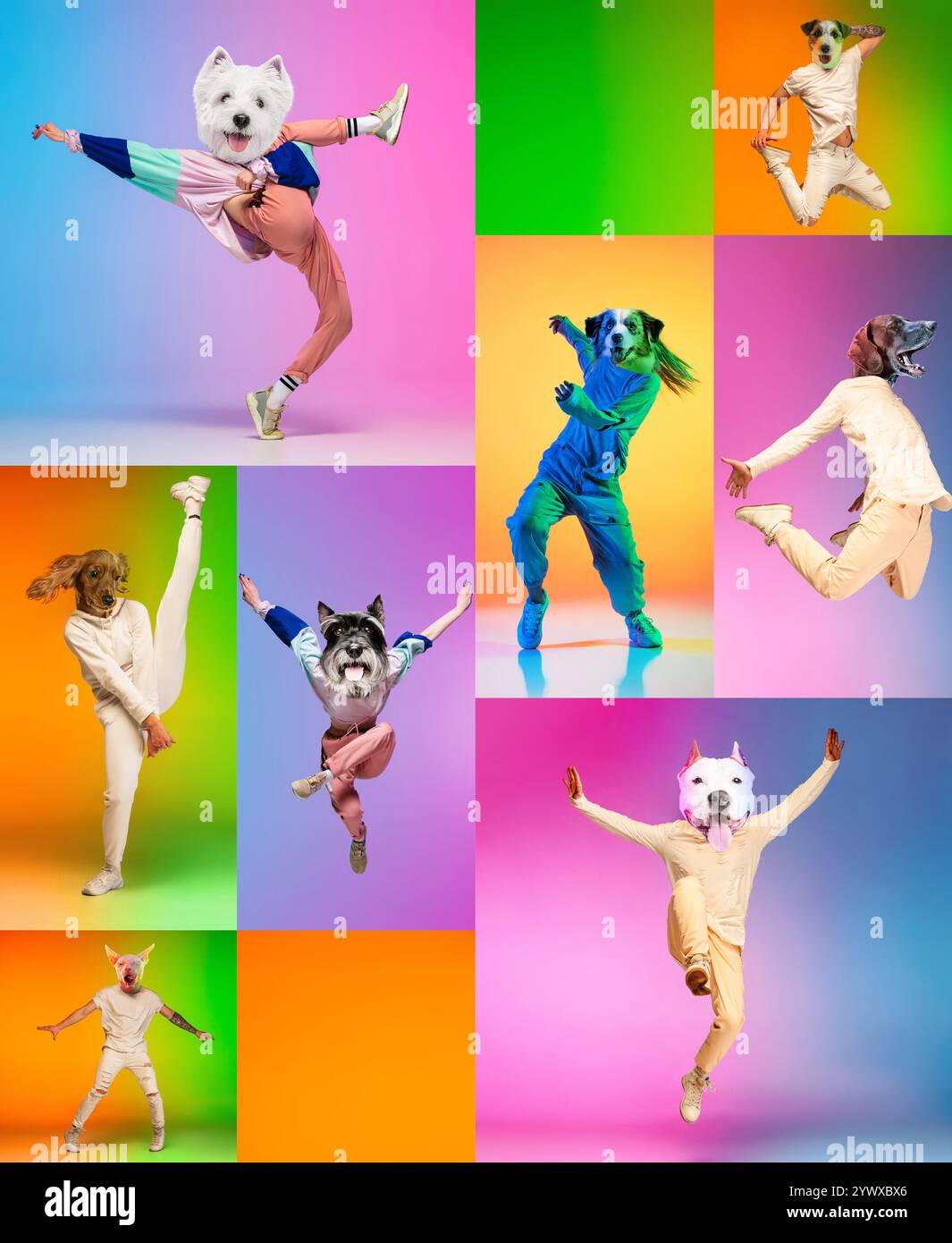 Creative collage with heads of purebred dogs on human body performing ...