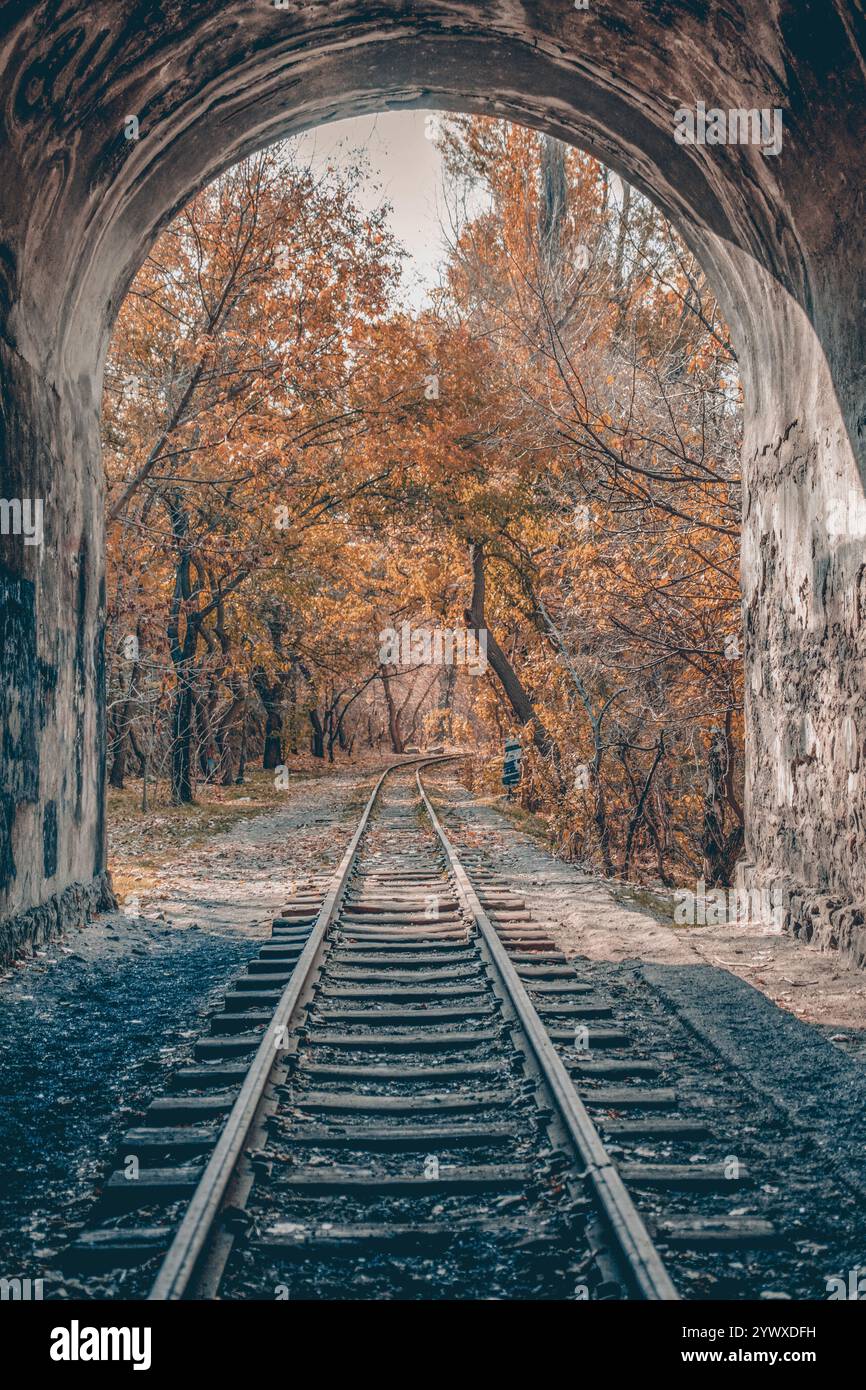 Autumn and the railway. Railroad pass through the tunnel. Beautiful ...