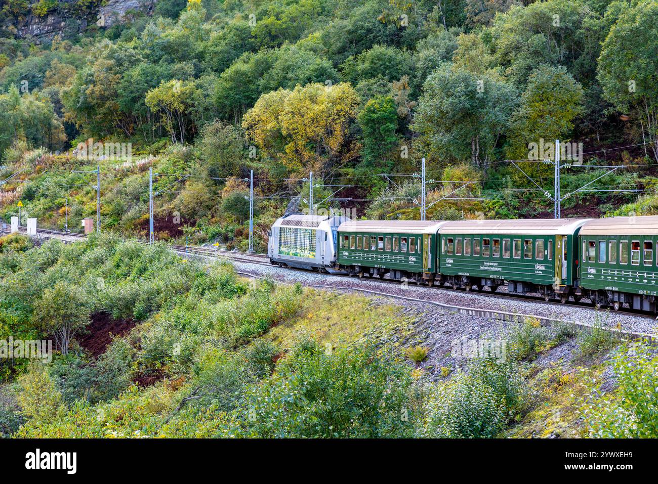 Flam railway train travelling through Flamsdalen valley between Flam ...
