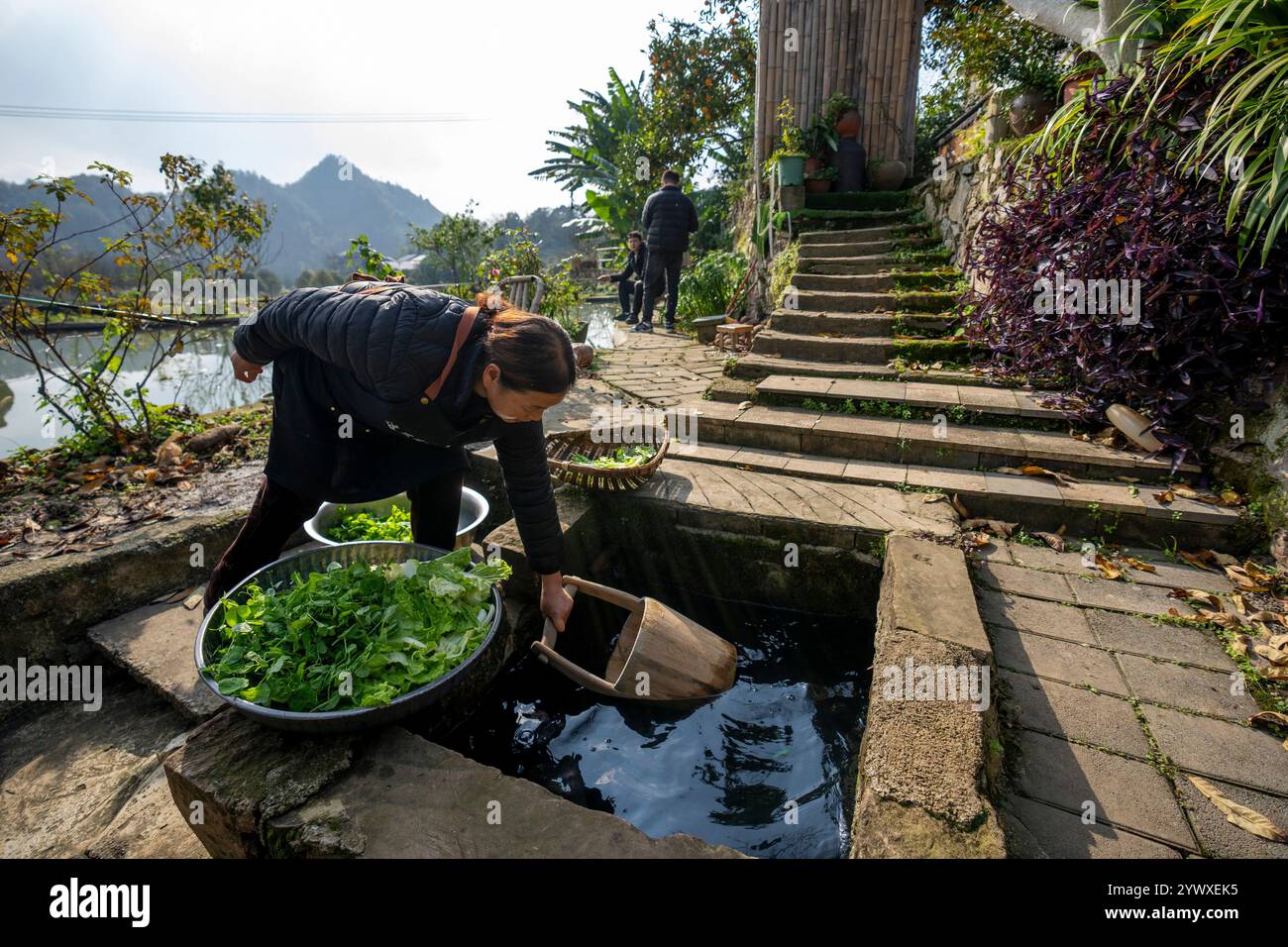 (241212) -- CHONGQING, Dec. 12, 2024 (Xinhua) -- A staff member ...