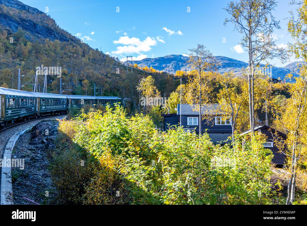 Flam railway train travelling through Flamsbana valley between Flam and Myrdal,Norway Stock ...