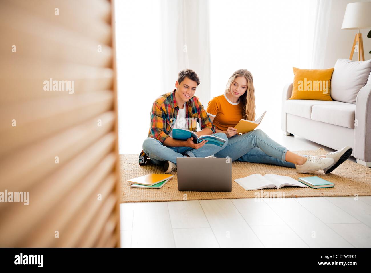 Young couple studying together in cozy living room during bright day indoors Stock Photo - Alamy