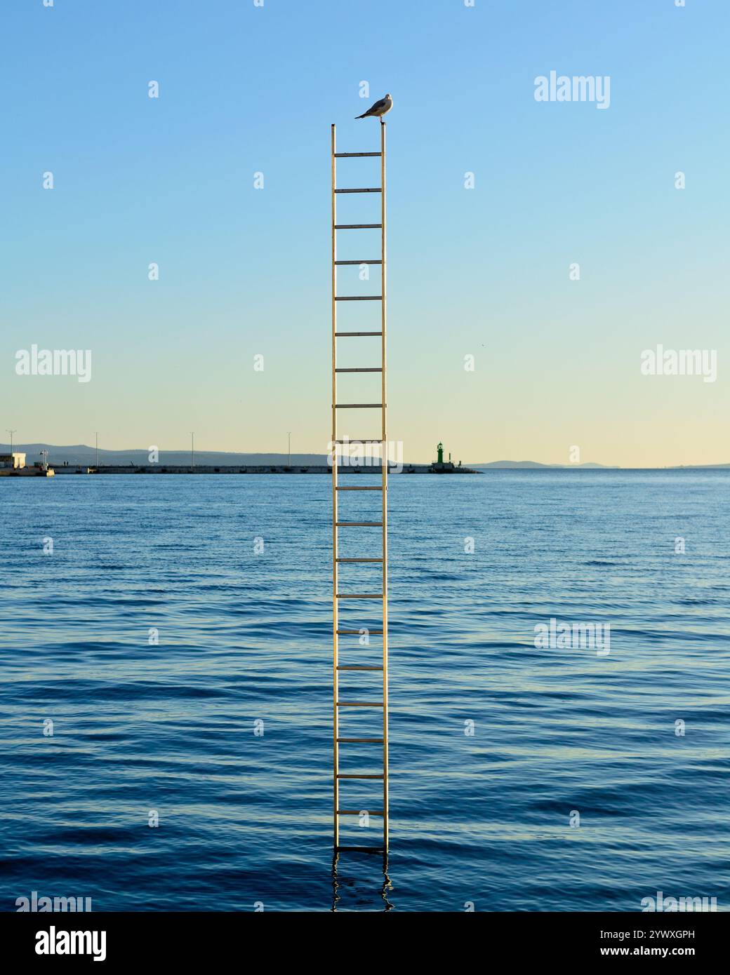 Bird on the top of the ladders which are stuck in the sea with blu sky ...