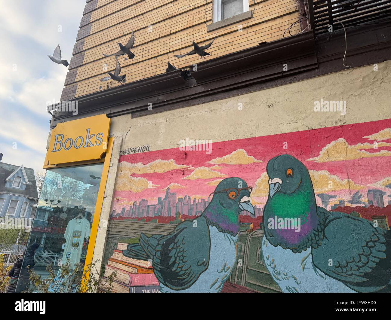 Lofty pigeon hi-res stock photography and images - Alamy