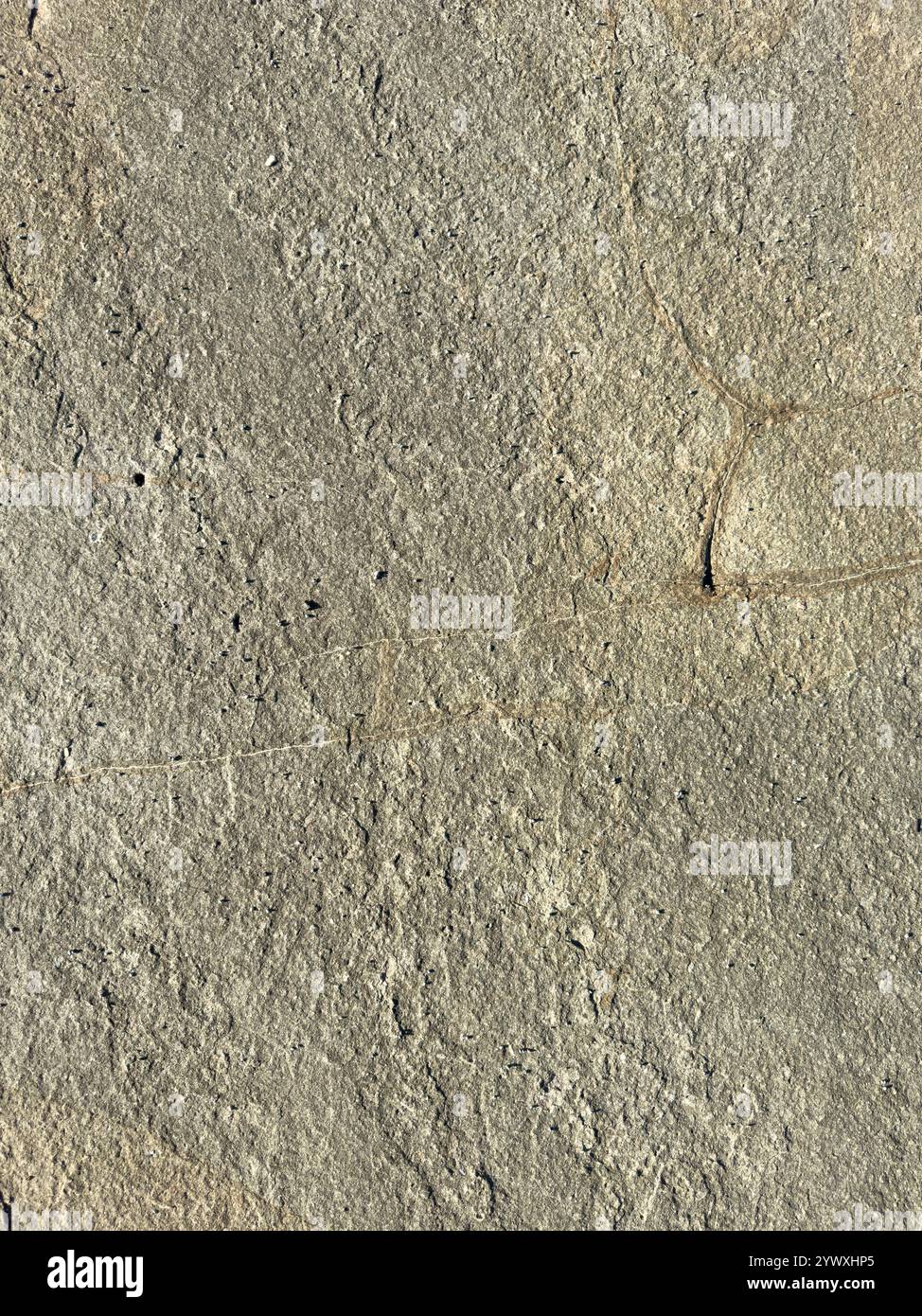 Sunlight highlights intricate textures of weathered stone surface ...